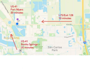 Royal Auction Group – Largest Auction House in the Southeast